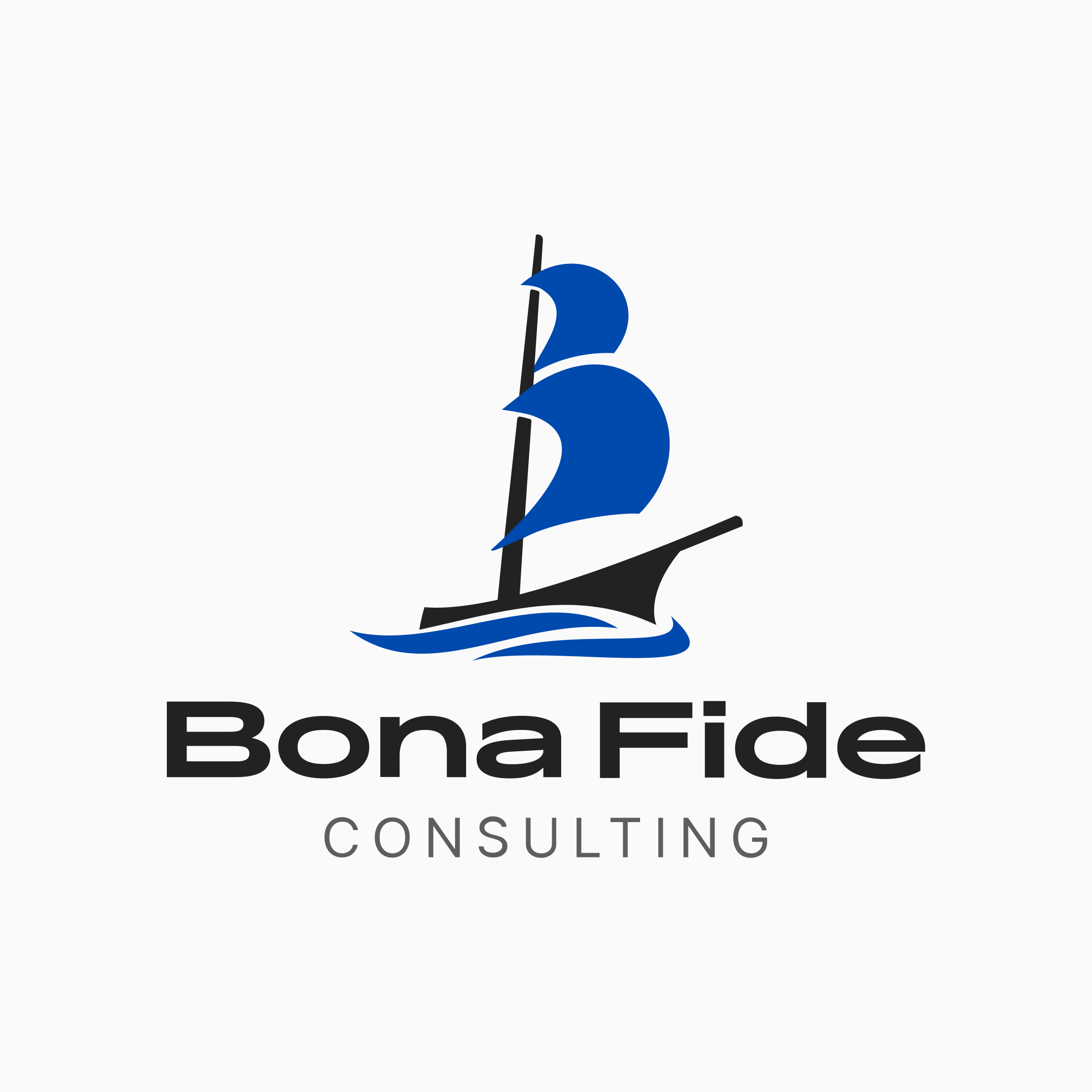 Bona Fide Consulting Inc.